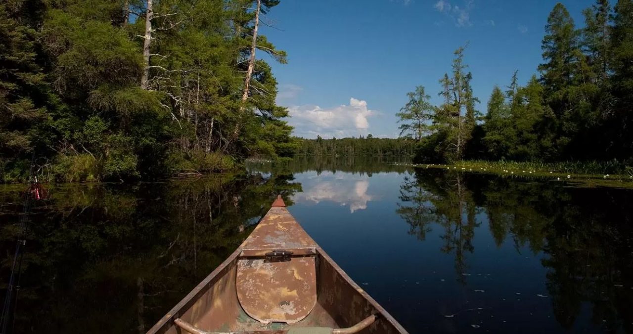 Northern Highland American Legion State Forest - Minocqua / Kawaguesaga ...